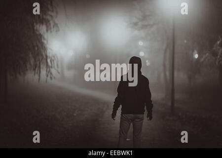 Horror scene of a autumn fog. LIGHTING FILM NOIR STYLE Stock Photo - Alamy