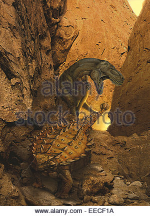 Tarbosaurus bataar, a prehistoric era dinosaur from the Late Stock ...