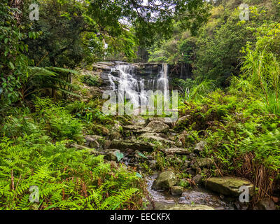 Waterfall in Paradise Valley in Pinetown, South Africa Stock Photo - Alamy