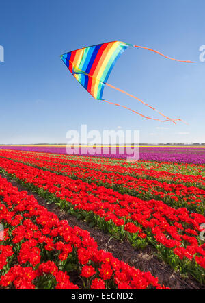 A kite flying over the green field Stock Photo - Alamy