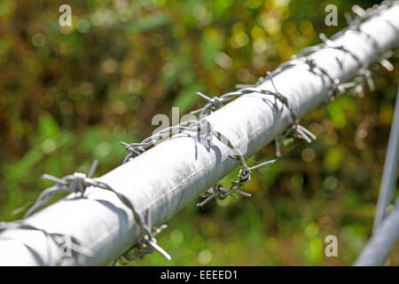 Barbed wire wrapped around the top rung of a metal farm gate Stock ...