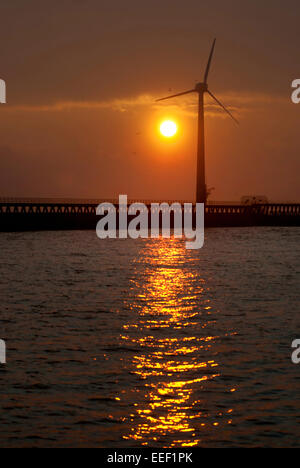 Wind Turbines at Sunrise, Blyth, Northumberland Stock Photo - Alamy