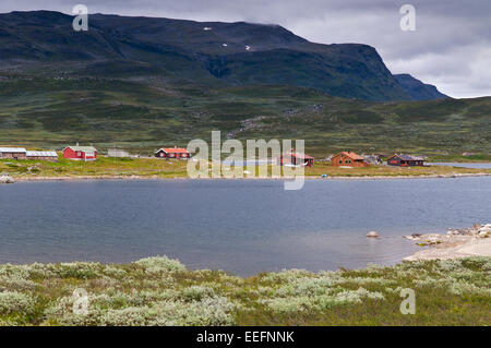 Deep green valley in Norway Stock Photo - Alamy