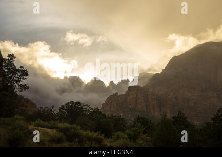 Fog rises in Zion Canyon in Utah Stock Photo - Alamy