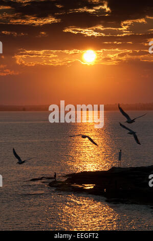 Botany Bay Sunset, Sydney, New South Wales, Australia Stock Photo - Alamy
