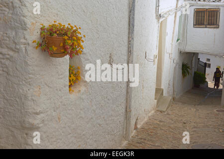 Pitres, Alpujarras Mountains area,Granada province, Andalusia, Spain ...