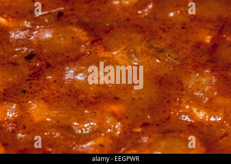 A macro photograph of a chicken curry simmering in a frying pan Stock ...