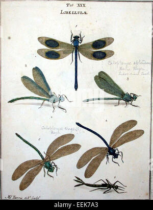 Moses Harris was an English entomologist and artist, known for his ...