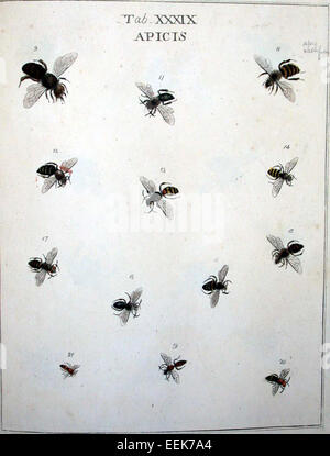 Moses Harris was an English entomologist and illustrator in the 18th ...