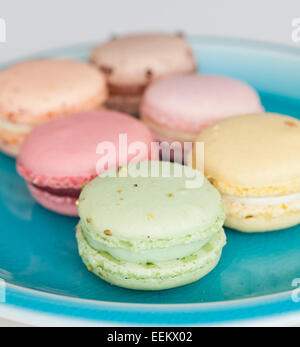 A plate of colourful French macarons from the Duchess Bake Shop in ...