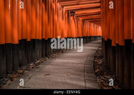 Thousands of red torii gates line the paths at Fushimi Inari Shrine in ...