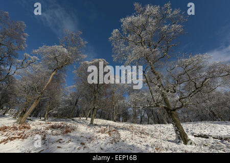 Glen Esk, Angus, Scotland in Winter Stock Photo - Alamy