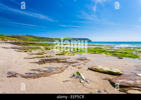 Pendower beach on the Roseland Peninsula in Cornwall Stock Photo - Alamy