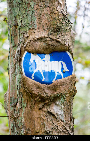traffic sign, bridle path, road sign, road signs, traffic signs, bridle ...