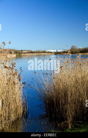 Lamby Lake, Tredelerch Park, Lamby Way, Cardiff, South Wales Stock ...