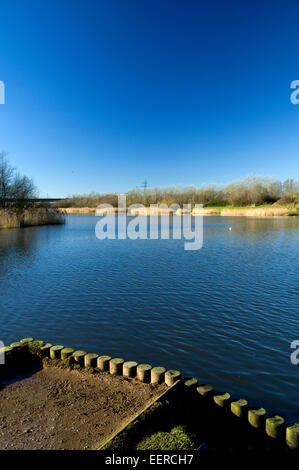 Lamby Lake, Tredelerch Park, Lamby Way, Cardiff, South Wales Stock ...