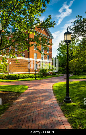 Streetlight and bushes along a brick walkway at John Hopkins University ...