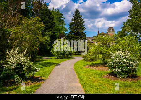 Bushes along a path at Cylburn Arboretum in Baltimore, Maryland Stock ...