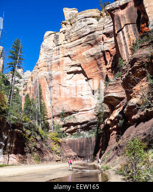 Hikers explore West Fork of Oak Creek in autumn Stock Photo - Alamy