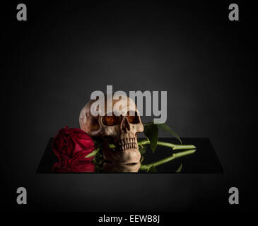 Valentine's Day background. Single red rose on white background. For ...