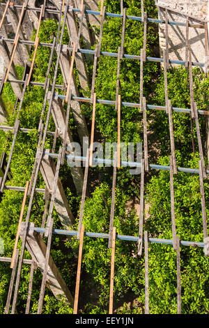 lemon house and castle, torri del benaco, italy Stock Photo - Alamy