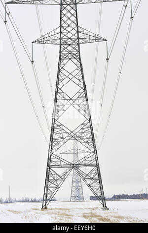 Transmission tower power lines run through a neighborhood in South Gate ...