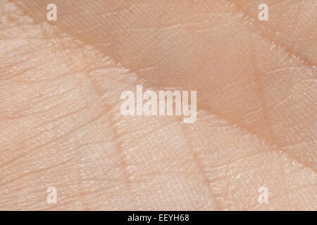 Human palm skin texture. Detail healthy pink skin background. Young ...