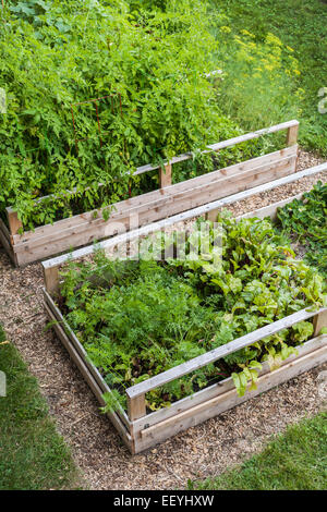 Fresh vegetables in wooden boxes on white background Stock Photo - Alamy