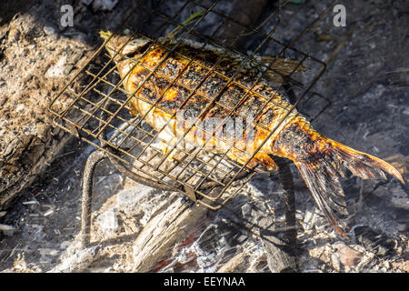 The Grilled fish, iron grill, fire, wood, charcoal Stock Photo - Alamy
