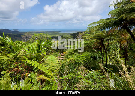 Mount Alexandra lookout with a view of the Daintree River mouth in ...