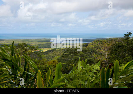 Mount Alexandra lookout in Cape Tribulation, Daintree National Park ...