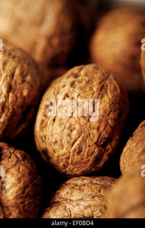 walnut, Close-up of a walnut Stock Photo - Alamy