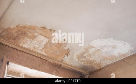 damage caused by dampness and moisture on a wall Stock Photo - Alamy