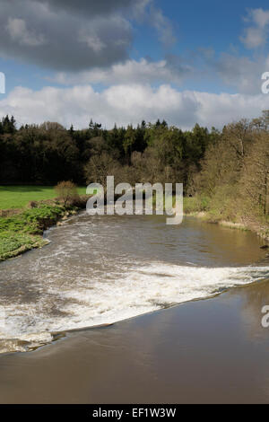 River Torridge; View From Weir Bridge; Devon; UK Stock Photo - Alamy