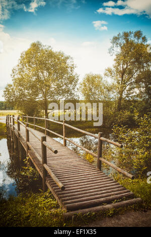 Wooden boardwalk foot bridge with railing through the wooded hiking ...