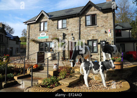 A village stores with 3 Freisian cow figures outside Stock Photo - Alamy