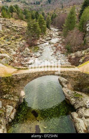 Old bridge over the river Golo, Ponte Leccia, in Morosaglia du Vallee ...