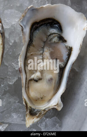 A Pickering Passage oyster on ice at Purdy's Farmer and the Fish in ...