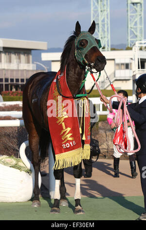 Kyoto, Japan. 24th Jan, 2015. Keiai Elegant Horse Racing : Keiai ...