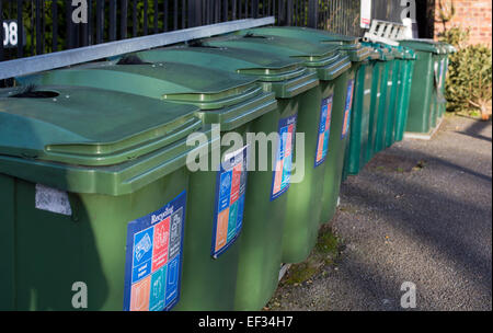 Row green wheely bins bin recycling Stock Photo - Alamy