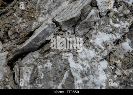 Rock Gypsum (Sedimentary Rock Stock Photo - Alamy