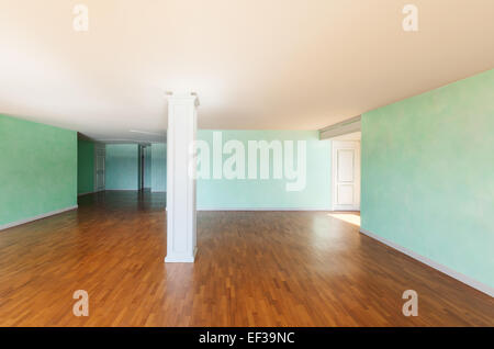 Interior, empty apartment classic, large room with windows Stock Photo ...