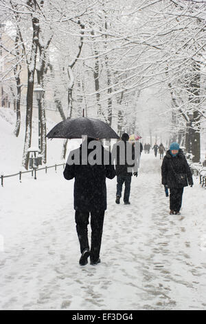 Krakow, Poland. 25th January, 2015. Poland Weather: The steady snowfall ...