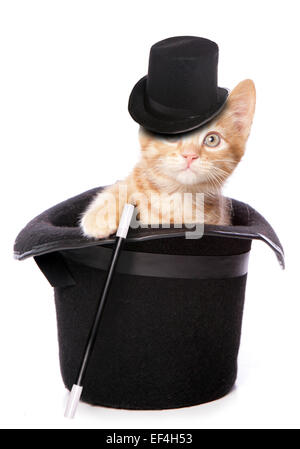Magician s hat and magic wand cut out on white background Stock Photo ...
