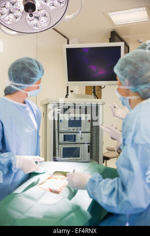 Medical students practicing surgery on model Stock Photo - Alamy