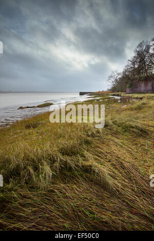 River Severn shoreline Stock Photo - Alamy