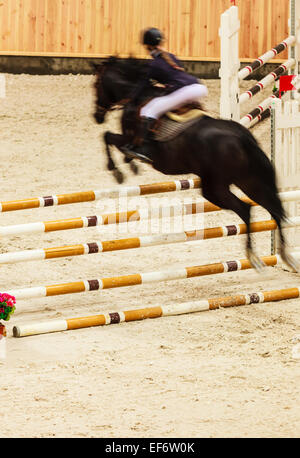 show jumping race horse jumping over obstacles Stock Photo - Alamy