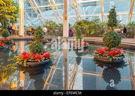 The Devonian Gardens, year round indoor Park, Calgary, Alberta, Canada ...