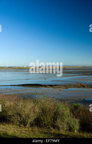 Foreshore and Bristol Channel, Cardiff, Wales, UK Stock Photo - Alamy