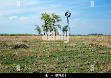 Windmill with tree stand, Pawnee National Grassland, Pawnee Pioneer ...
